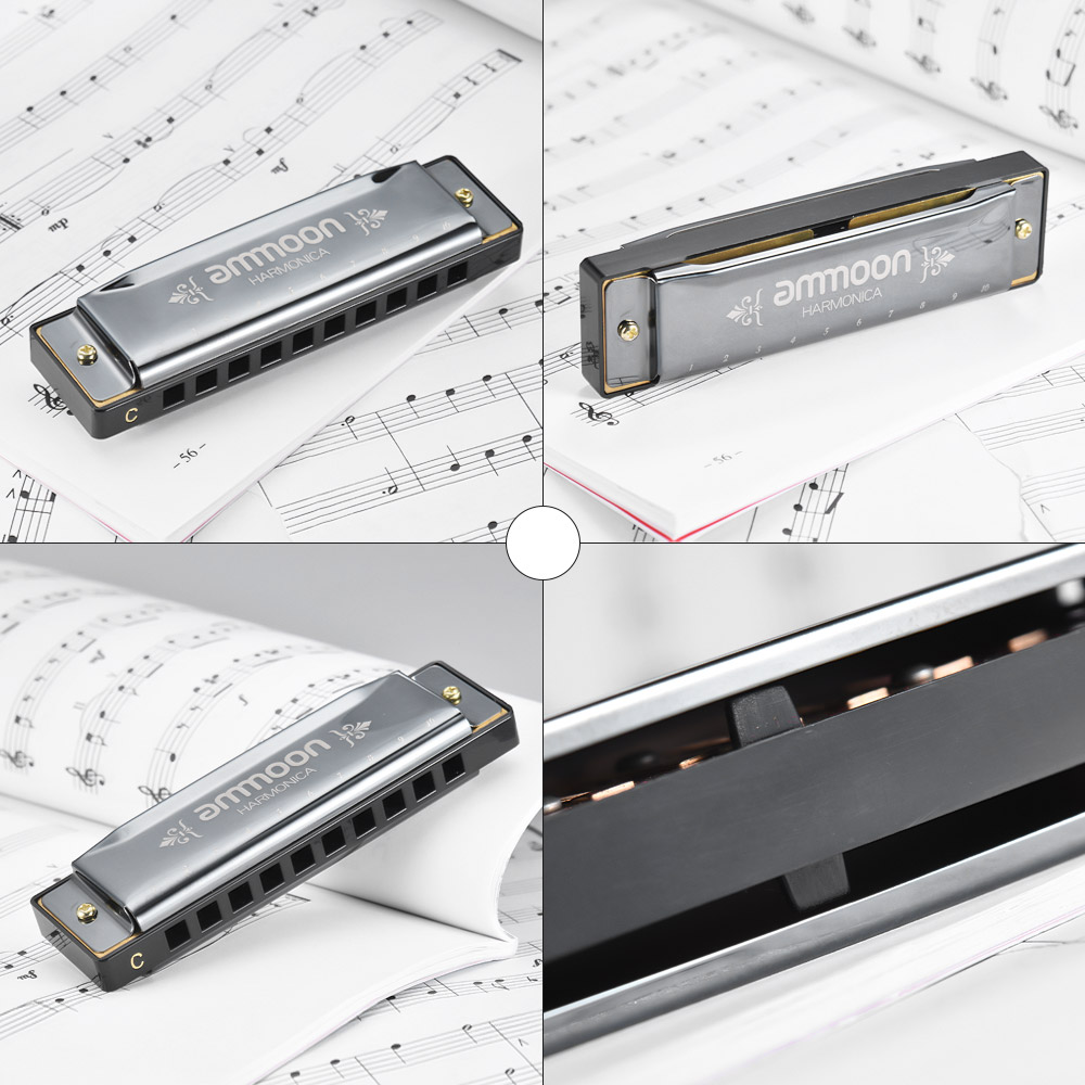 Portable Blues Harmonica Standard 10 Hole 20 Tone Harmonicon Mouth ...