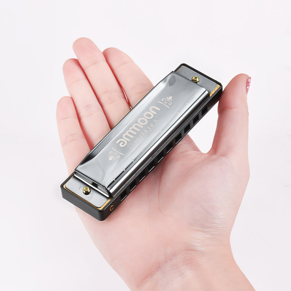 Portable Blues Harmonica Standard 10 Hole 20 Tone Harmonicon Mouth ...
