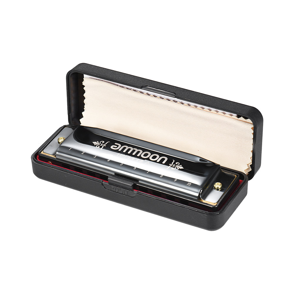 Portable Blues Harmonica Standard 10 Hole 20 Tone Harmonicon Mouth ...