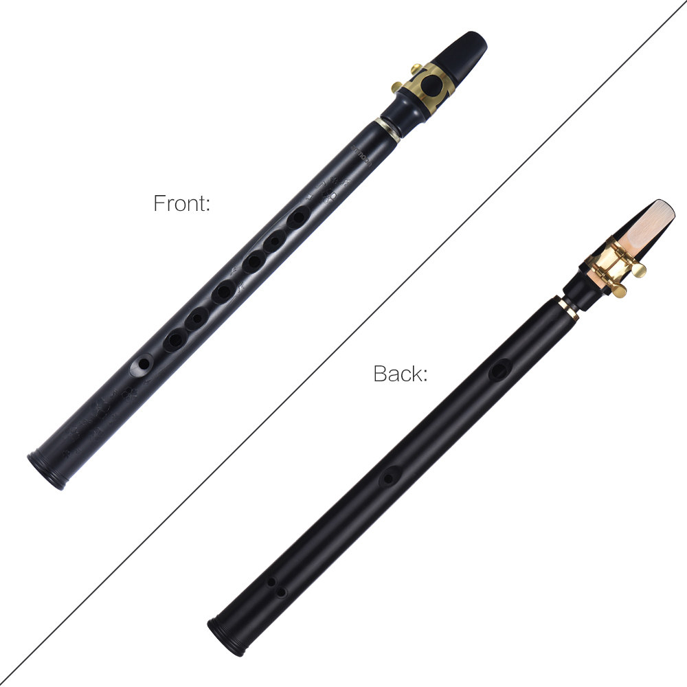 Bb Mini Saxophone Sax ABS with Alto Mouthpieces 2pcs Reed Carrying Bag ...