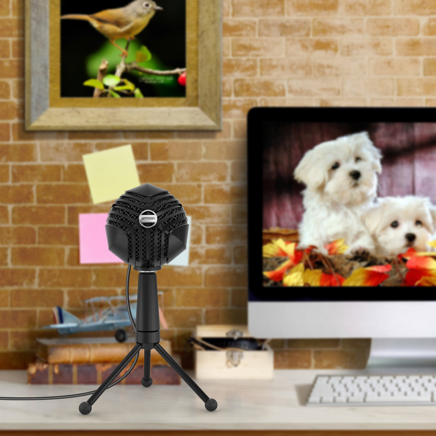 GM-888 USB Condenser Microphone Ball-shaped Mic with Desktop Mini Metal ...