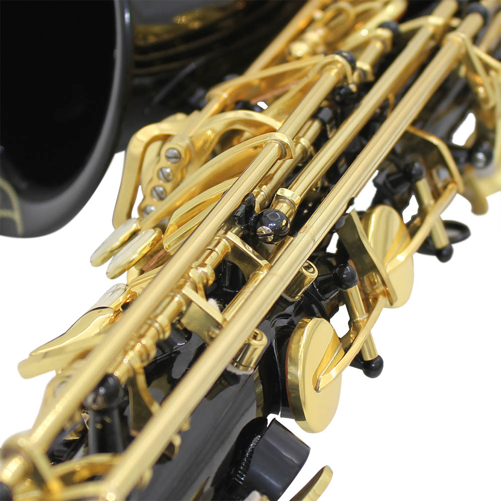 ammoon Brass Engraved Eb E-Flat Alto Saxophone Sax Abalone Shell ...