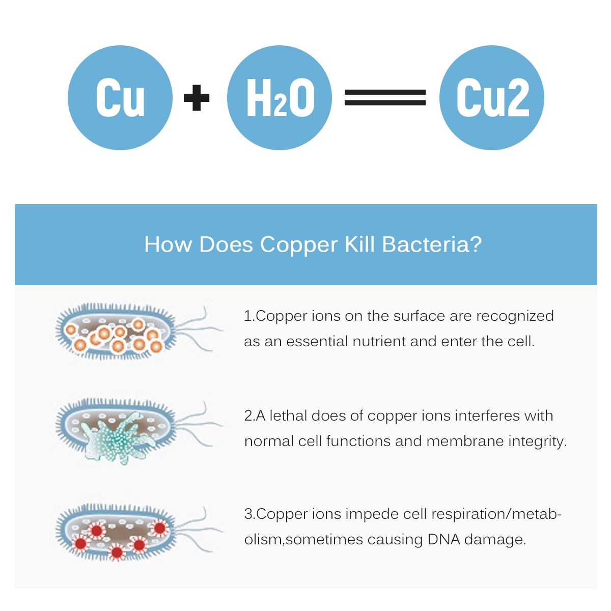 Copper Rod Pure Antimicrobial Copper Natural Alternative to Steri ...