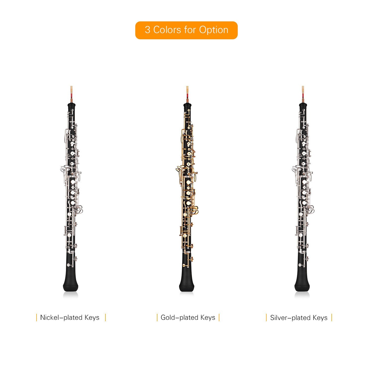 woodwind oboe