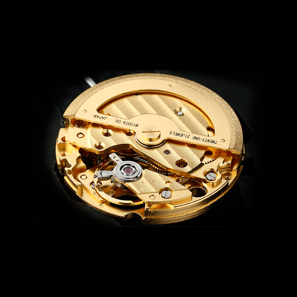 ROSDN Men Automatic Mechanical Watch