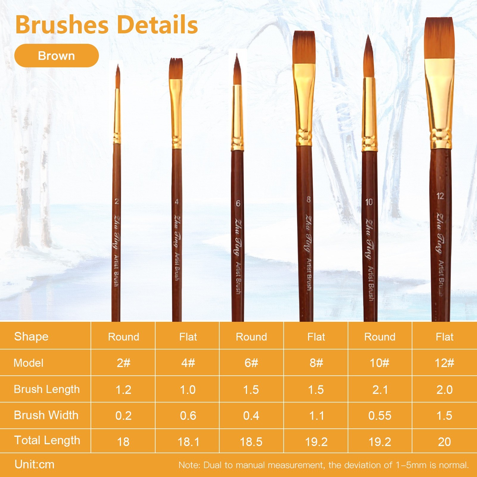 6pcs Paint Brushes Set Round and Flat Tips Artists Paintbrushes Nylon ...