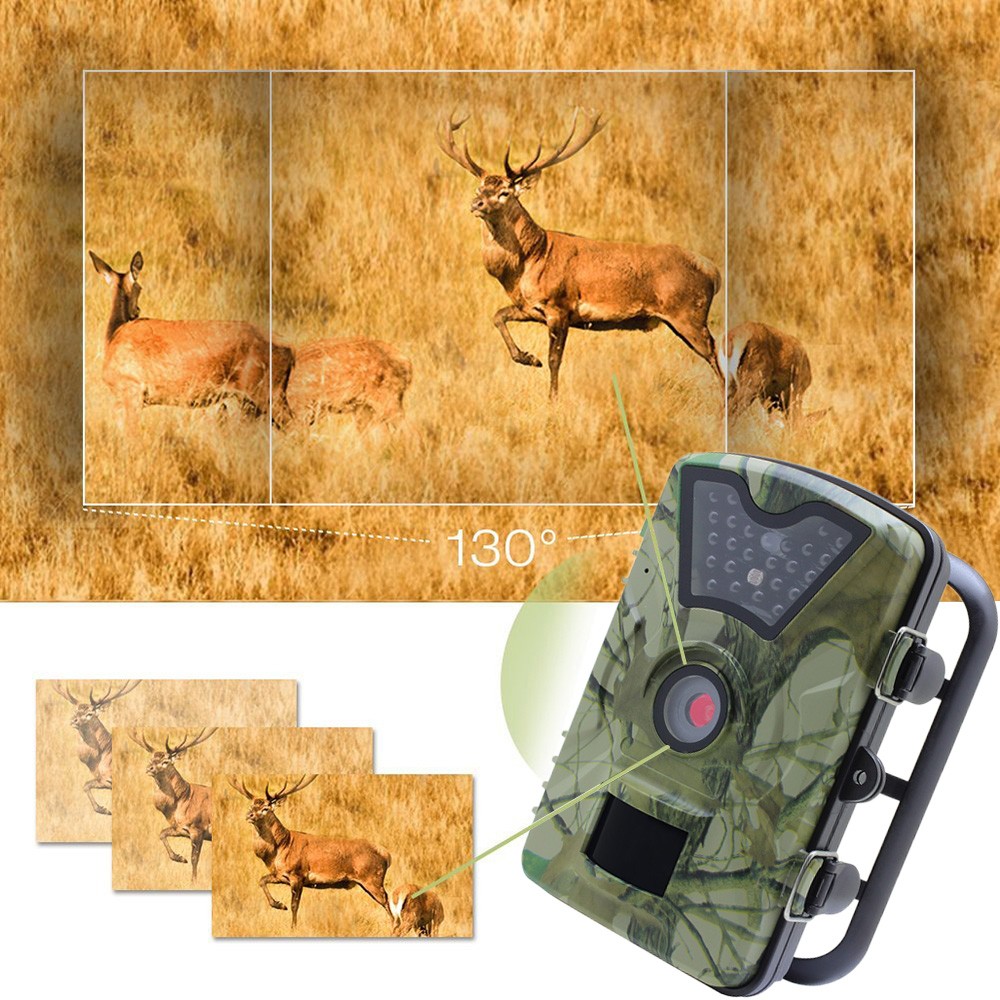 HD Wildlife Trail Camera